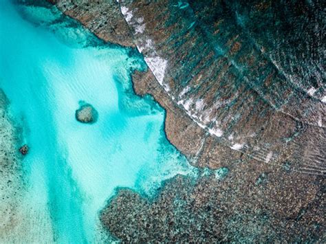 Imágenes De Ningaloo Descubre Bancos De Fotos Ilustraciones Vectores