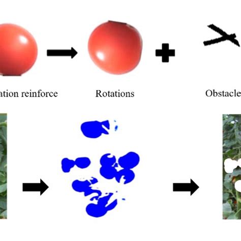 A In The Process Of Data Synthesis Replace The Strawberry With
