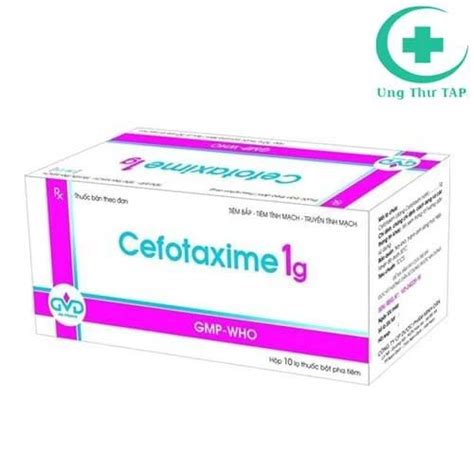 Cefotiam 1g Md Pharco Thuốc điều Trị Nhiễm Khuẩn