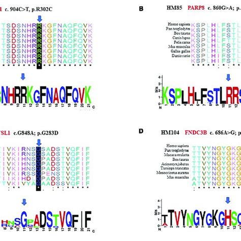 Conservation Analysis Revealed Evolutionary Conservation Of The