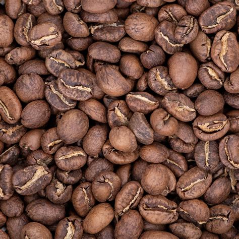 Ethiopia Jimma Gera Genji 에티오피아 짐마 게라 겐지