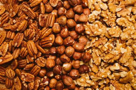 Sprouting Information Nut • Hut