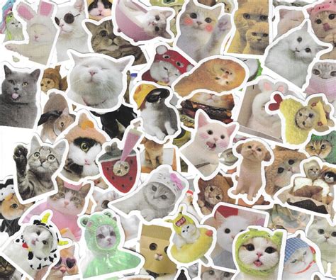 Kawaii Meme Cat Stickers Funny T Waterproof Decals For Motorcycle