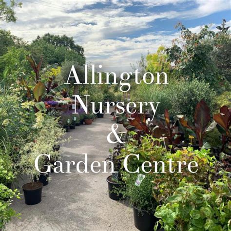 Allington Nursery And Garden Centre Eastleigh