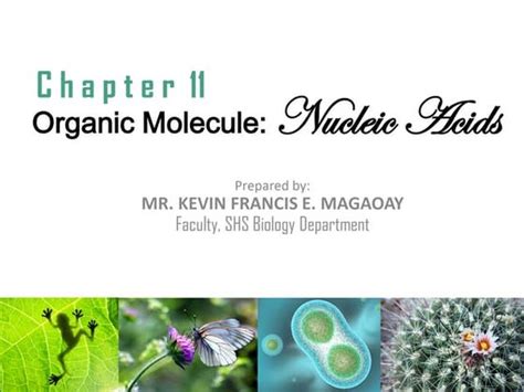 Lesson 4 Cell Modifications Pdf Biological Sciences Science