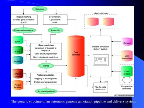 Ppt Genome Annotation Techniques New Approaches And Challenges