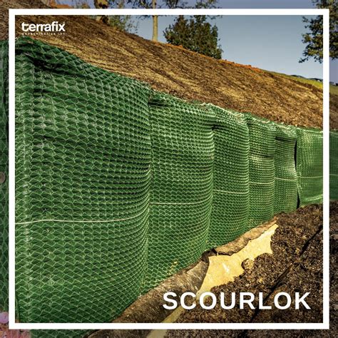 Michelle Rioux Posted On Linkedin