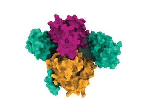 Julianne A Hunt On Linkedin New Protein Complex Structure Reveals