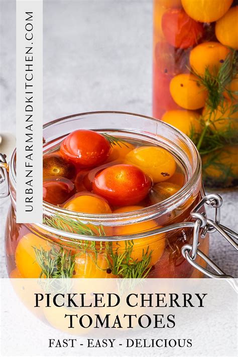 Pickled Tomatoes Artofit