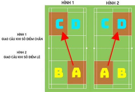 9 Luật Cầu Lông đôi Của Bwf Giúp Bạn Làm Chủ Cuộc Chơi”