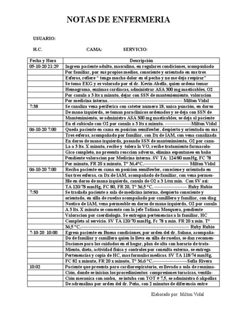 Ejemplos De Notas De Enfermería Pdf Medicina Interna Medicina