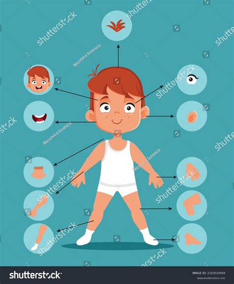 Funny Biology Class Cartoon