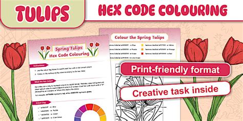 Hex Code Colouring Spring Tulips