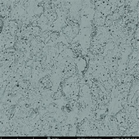Effects Of Lioh And Li 2 Co 3 Sintering Aids A C Cross Sectional Sem
