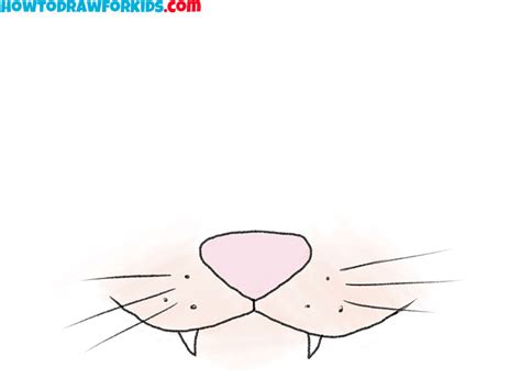 How To Draw A Cat Muzzle