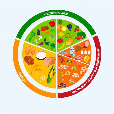El Plato Del Bien Comer Una Iniciativa Que Te Orienta Para Organizar Tu Alimentación Plato