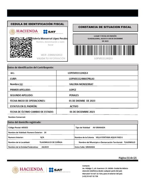 Constancia De Situación Fiscal 2023 Pdf