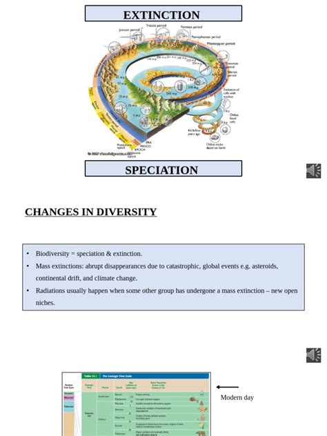 Lecture 5 Macroevolution And Extinction Narrated Pdf Extinction