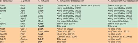 Conserved Microtubule Organizing Center Proteins In S Cerevisiae S Download Scientific