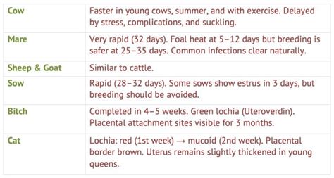 Factors Affecting Uterine Involution In Animals