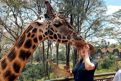 Shikadah Tours And Travel 2025 All You Need To Know Before You Go With Reviews