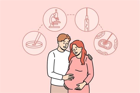 Egg Fertilization Vector Images Over 5100