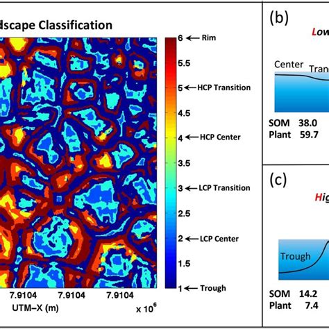 A The Landscape Classification Map For Area C 100 M × 100 M Red