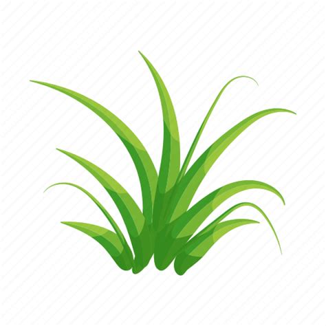 Grass Turf Grass Patch Garden Grass Scutch Grass Icon Download On