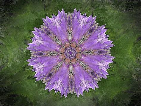 Purple Mandala 2 Bob Photograph By Bob