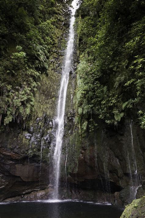 Wasserfall Auf Madeira Insel 25 Fontes Stockfoto Bild Von Holz Wild