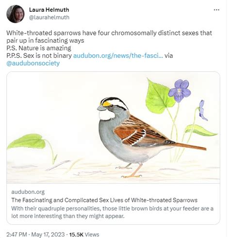 The Scratching Post Sciam Has Gone Mad