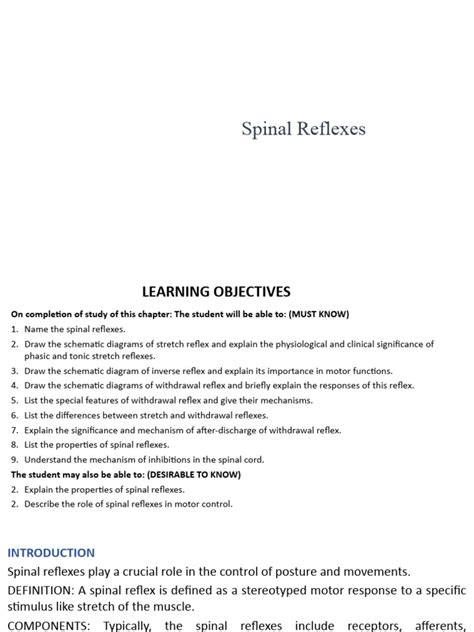 Spinal Reflexes Download Free Pdf Motor Neuron Nervous System