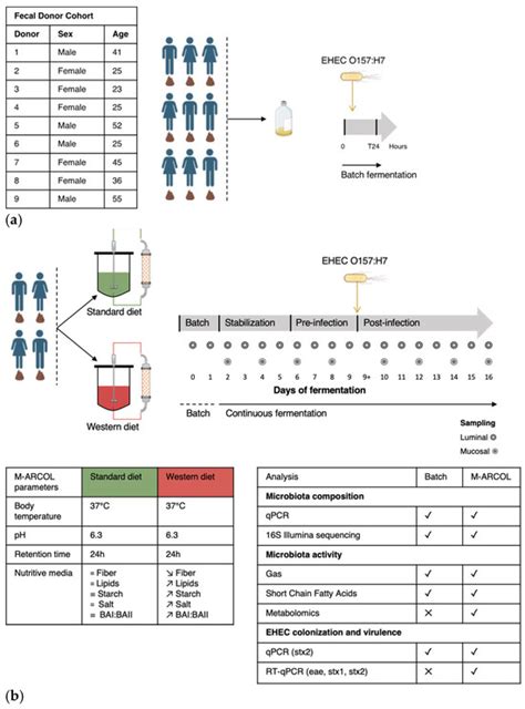 Nutrients Special Issue The Relationship Between Diet Gut Microbes