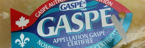 Mathieu Smith Mathieu Smith Twitter