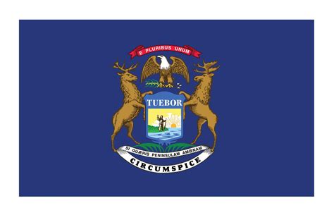 Michigan Flag American State Flags In Official Colors And Proportions