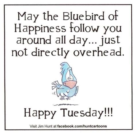 Funny Tuesday Sayings