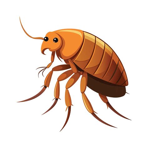 Cute Flea Illustration On White 58981284 Vector Art At Vecteezy