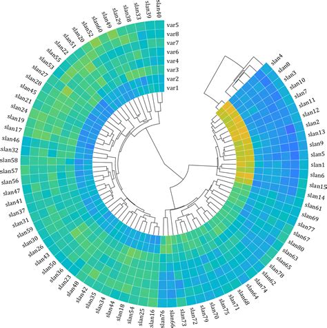 matlab 绘图复刻 五 带树状图的环形热图 clim matlab csdn博客