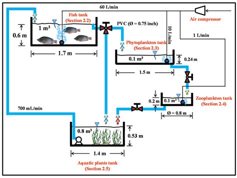Integrated Multi Trophic Recirculating Aquaculture System For Nile