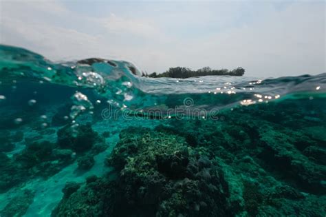 Surface And Underwater World Of Blue Ocean With Coral Reef And Tropical