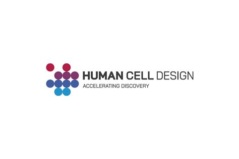 Human Cell Design的人源胰岛b细胞模型是糖尿病研究首要选择alibiobuy