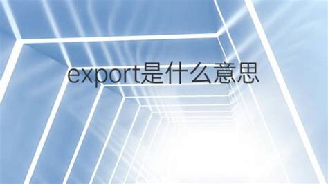 export是什么意思 export的翻译、读音、例句、中文解释 下午有课