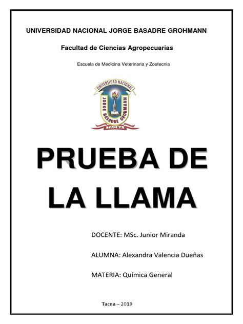 Prueba De La Llama Pdf Química Analítica Química