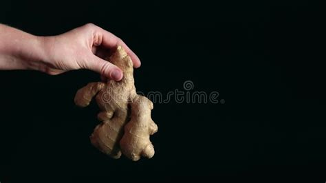 Close Up Of A Woman S Hand Holding Ginger Root Stock Video Video Of Rhizome Spice 323045619