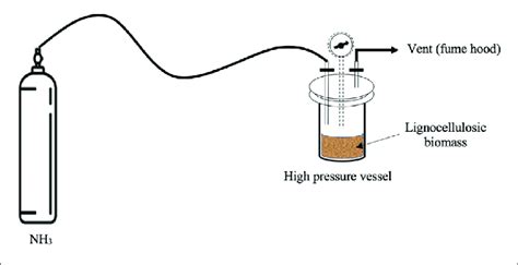 Experimental Set Up Of The Lmaa Pretreatment Download Scientific Diagram