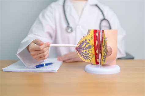 Tubular Breasts Signs Causes And Treatment Options