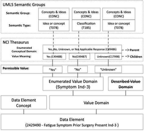 The Linkage Between The Value Set Constructs Ie Enumerated Value Download Scientific Diagram