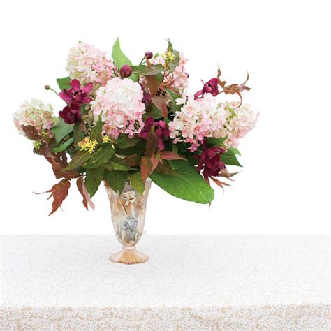 Fire Light® Panicle Hydrangea Hydrangea Paniculata Proven Winners