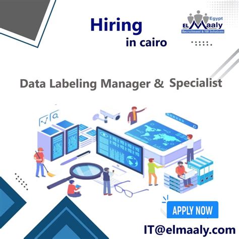 Datalabellingmanager Datalabellingspecialist El Maaly Egypt For