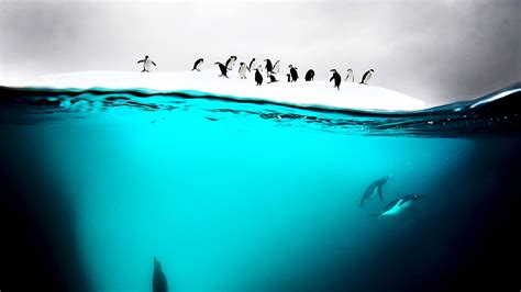 At The La Gacilly Photo Festival Environmental Photography In The